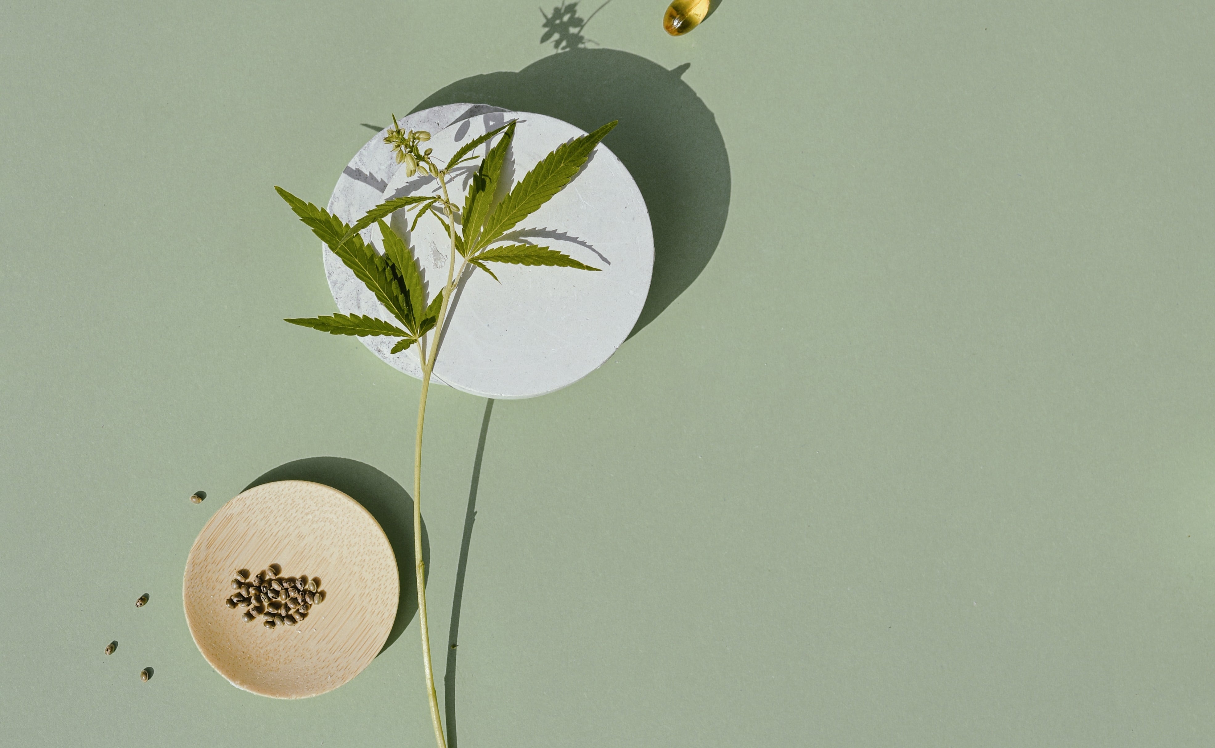 CBD Beginner’s Guide: Everything You Need to Know