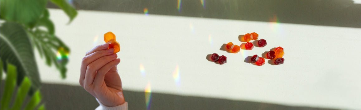 CBD Dosing for Beginners | A Guide